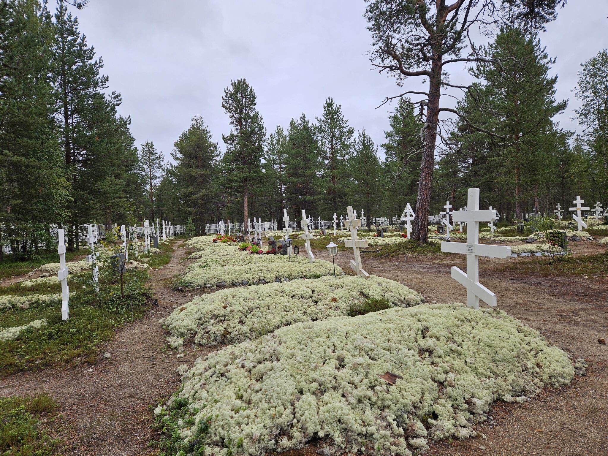 Workshops with public events at Tana and Varanger Museumssiida – Norges ...